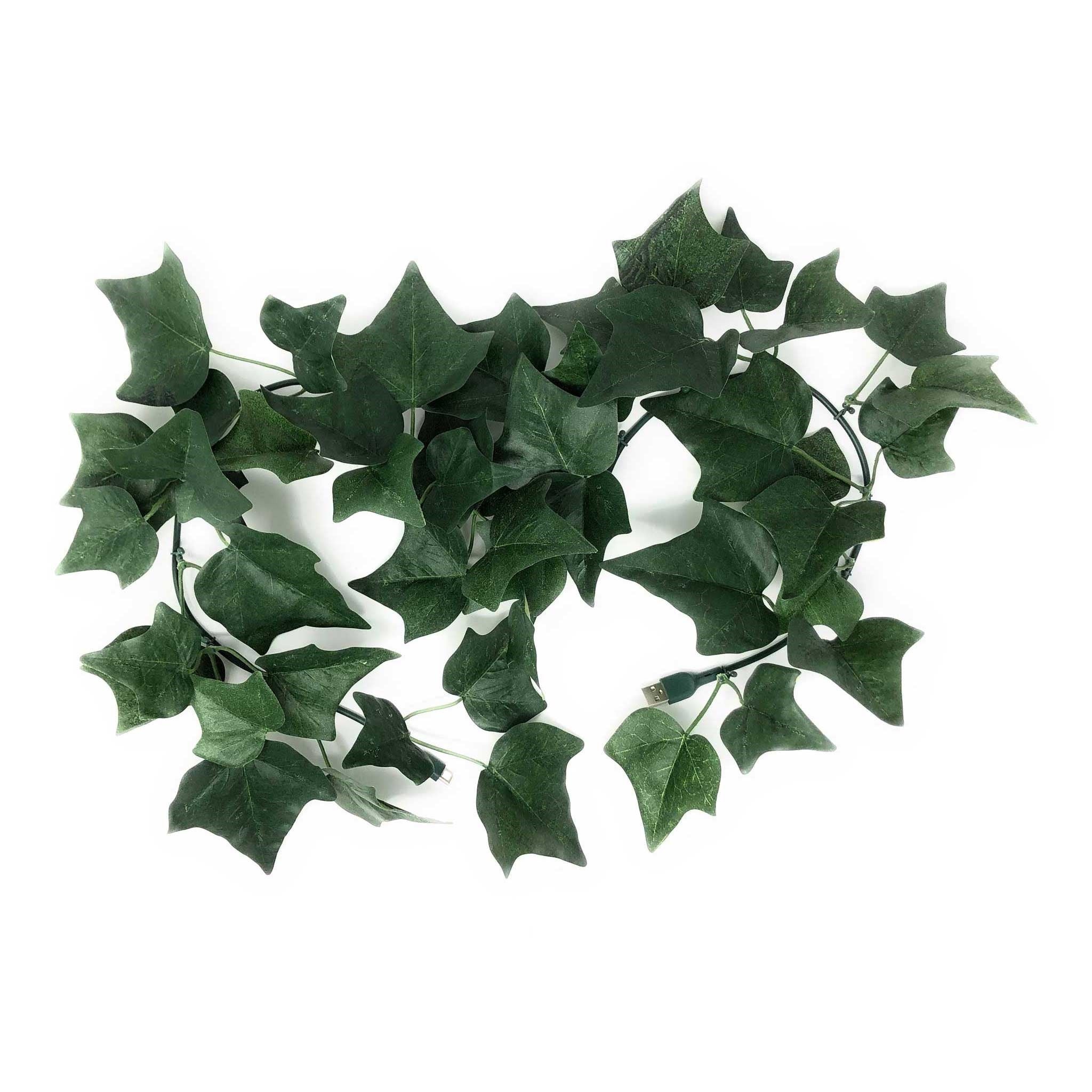 ElectroVine™ Ivy – A Charging Cable That Doubles as Living Décor ...